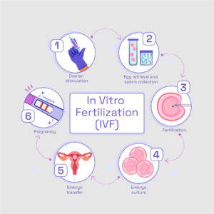 IVF – RISAA IVF